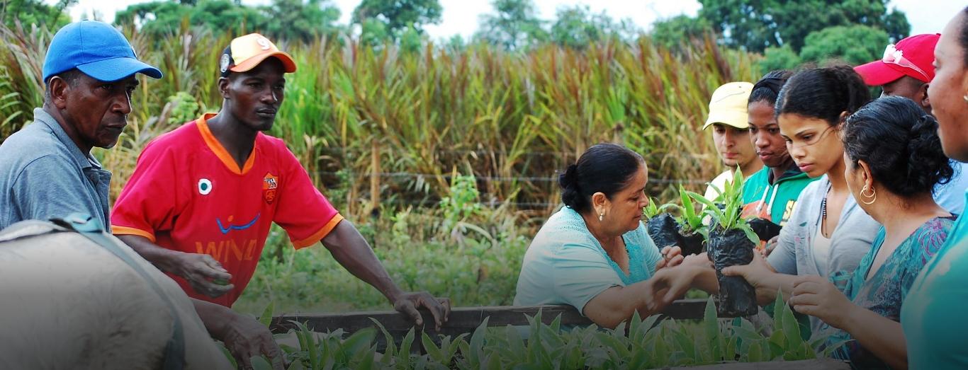 Know Us More | Planting Hope