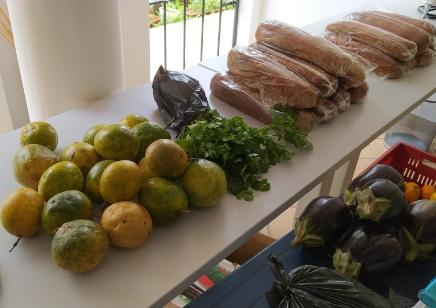 Actions | Planting Hope