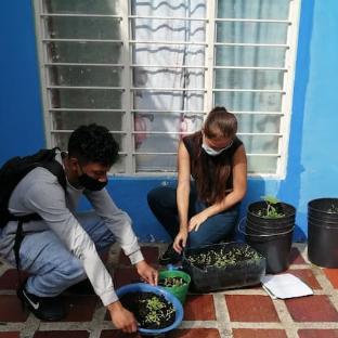 Know Us More | Planting Hope