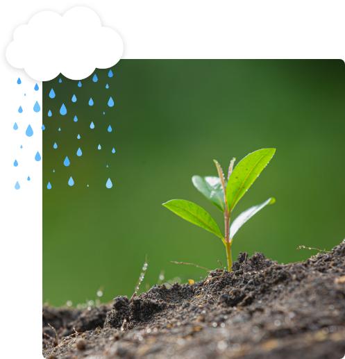 Know Us More | Planting Hope