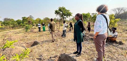 Plant a Tree Online - Donate a Tree - Planting Hope