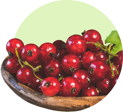 Tahitian gooseberry tree / Grosella | Planting Hope